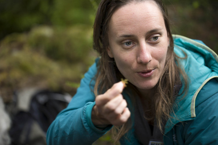 Live from the Penang Hill BioBlitz - Event #1 - JASON Learning